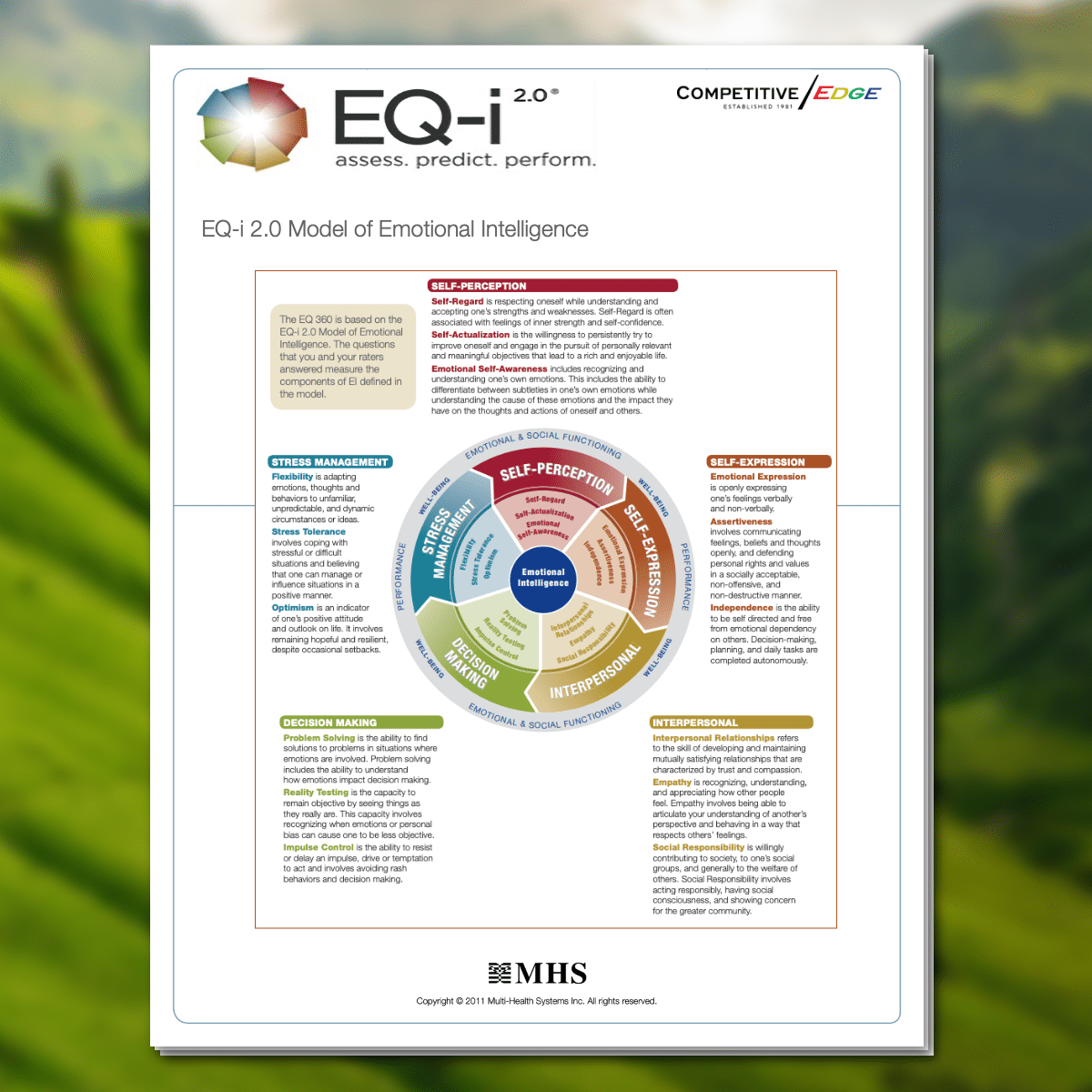EQ-i 2.0 Assessment – Performance Insights Online Tools